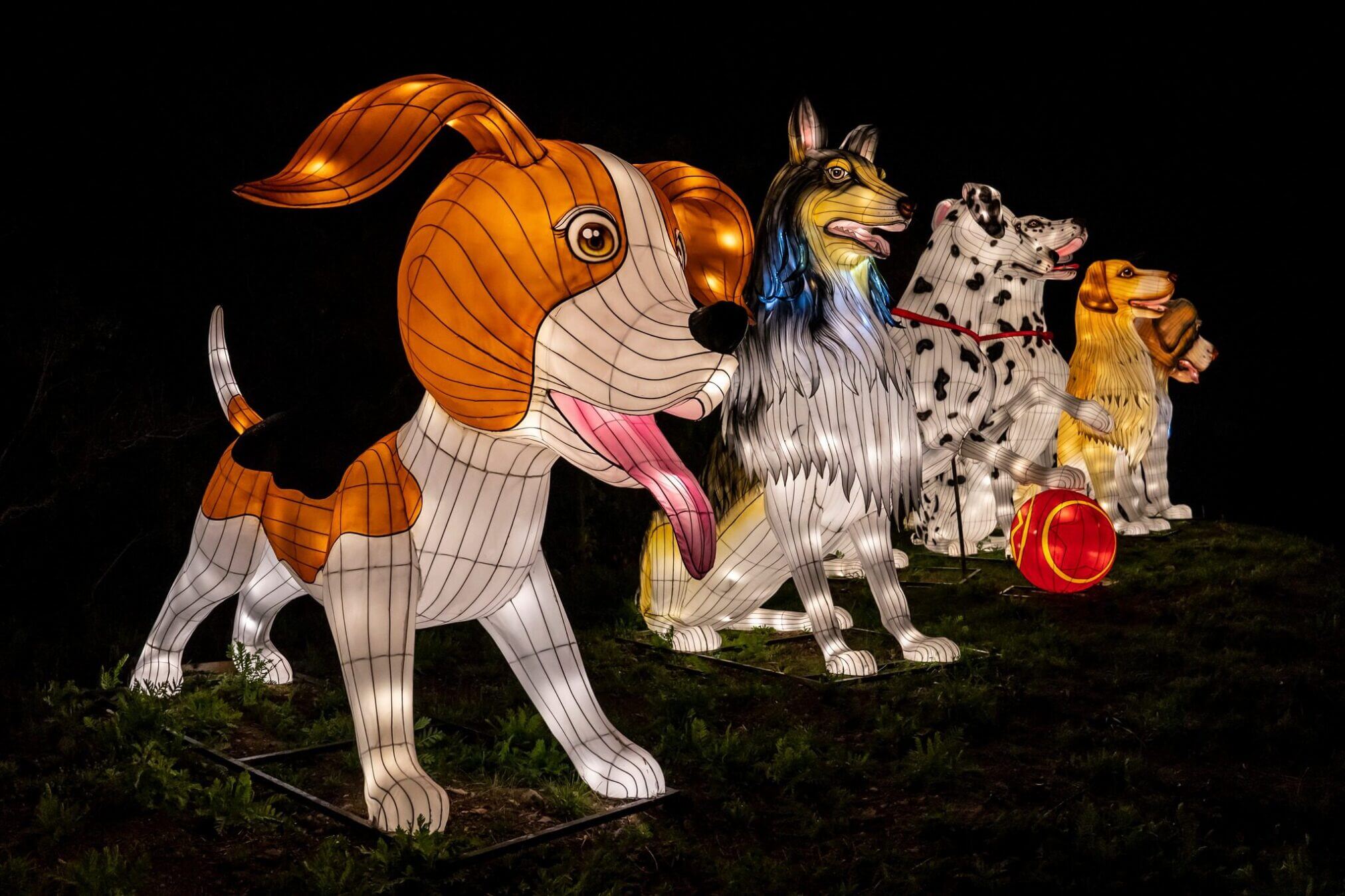 Celebrate your love of Furry Pals with these amazing family activities ...