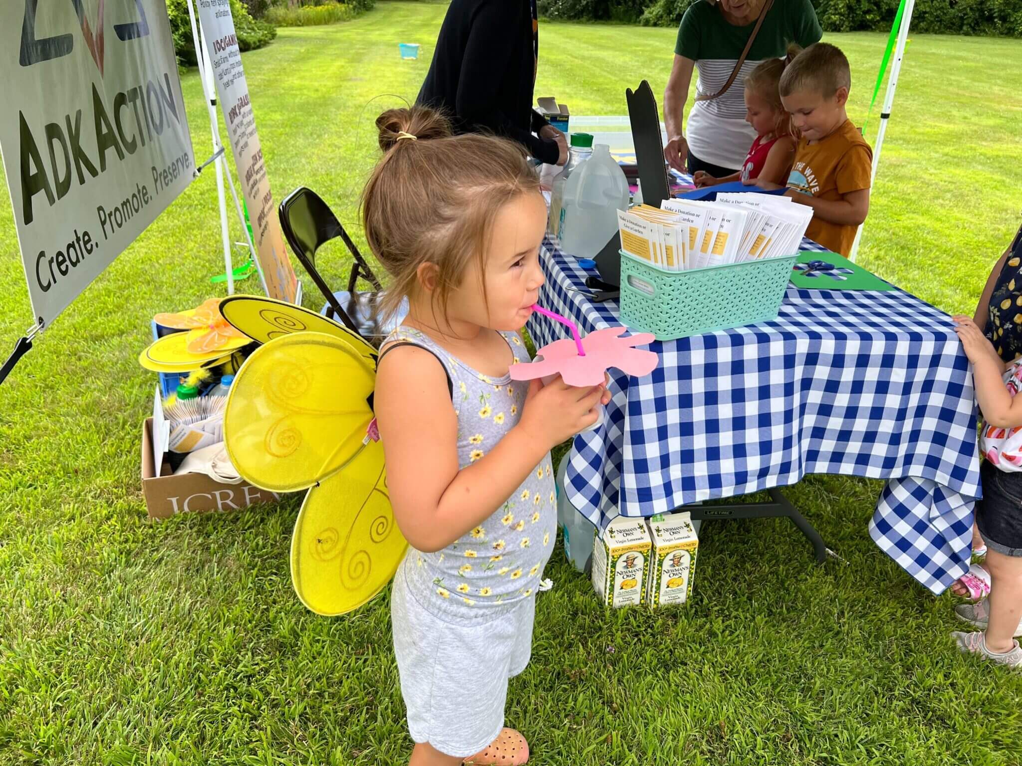 Pollination Station: End of Summer Update 2022 – Mountain Lake PBS