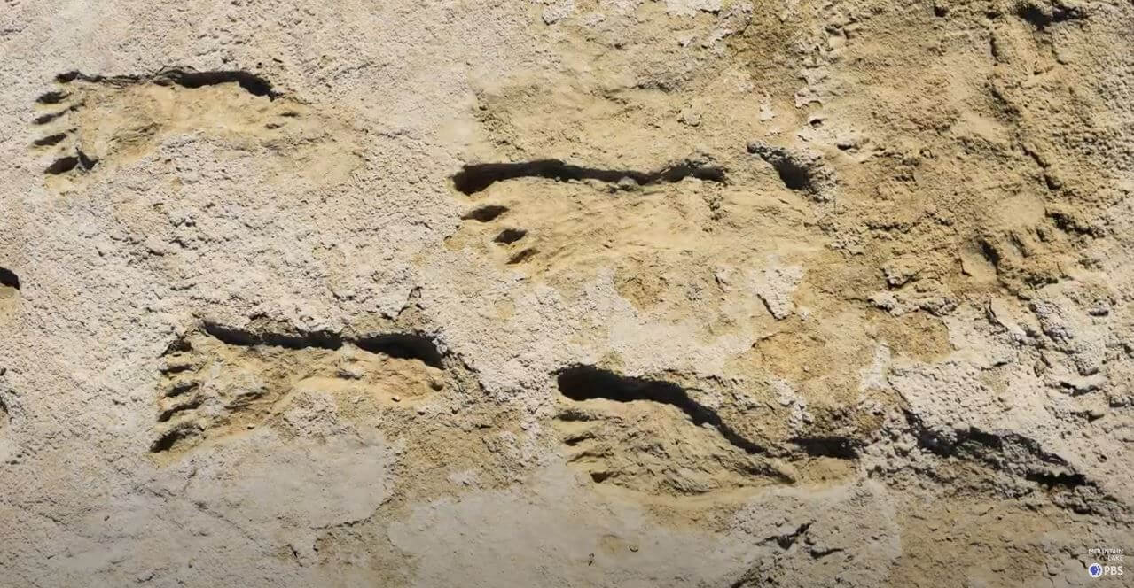 Ice Age Footprints on NOVA | Passport Picks — Mountain Lake PBS