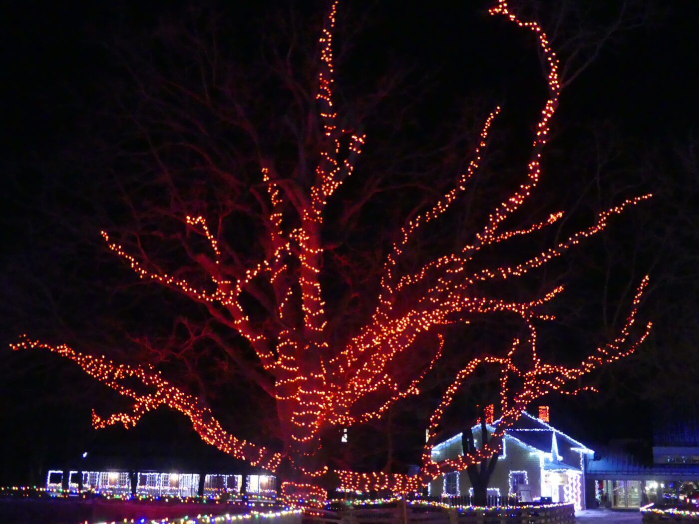 Make Family time sparkle at Alight at Night ! – Mountain Lake PBS