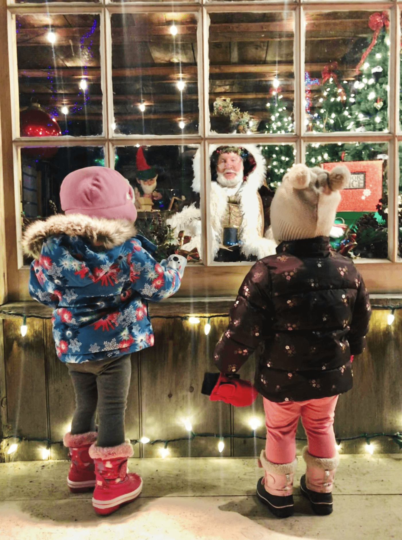 Make Family time sparkle at Alight at Night ! – Mountain Lake PBS