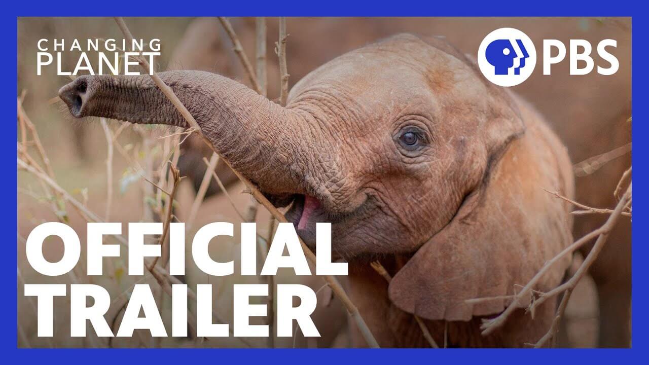 Changing Planet | Official Trailer | PBS — Mountain Lake PBS