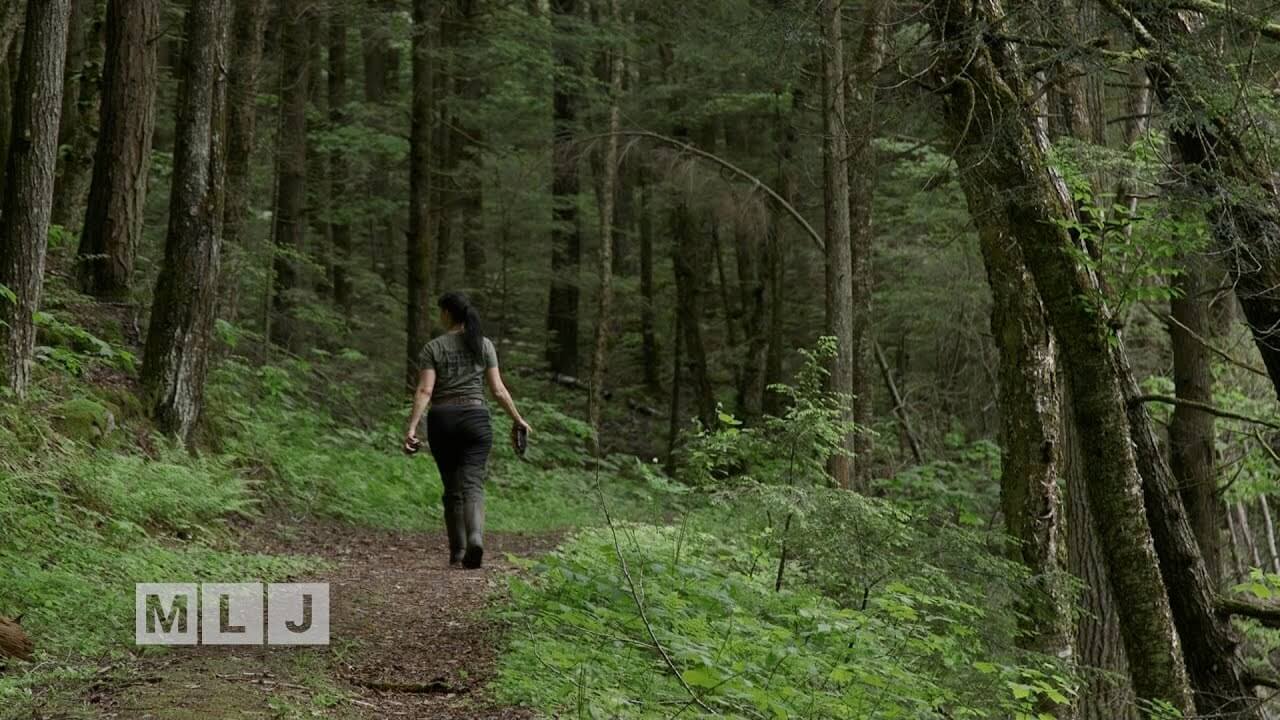 Foraging: Ethics and Opportunities | PBS LearningMedia — Mountain Lake PBS Foraging: Ethics and Opportunities | PBS LearningMedia — Mountain Lake PBS