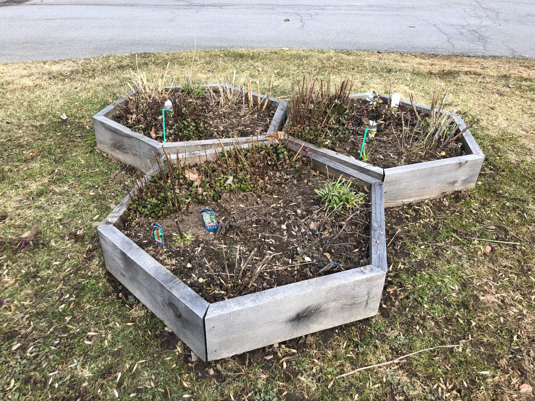 Summer is in Full Bloom at the Mountain Lake PBS Pollination Station ...