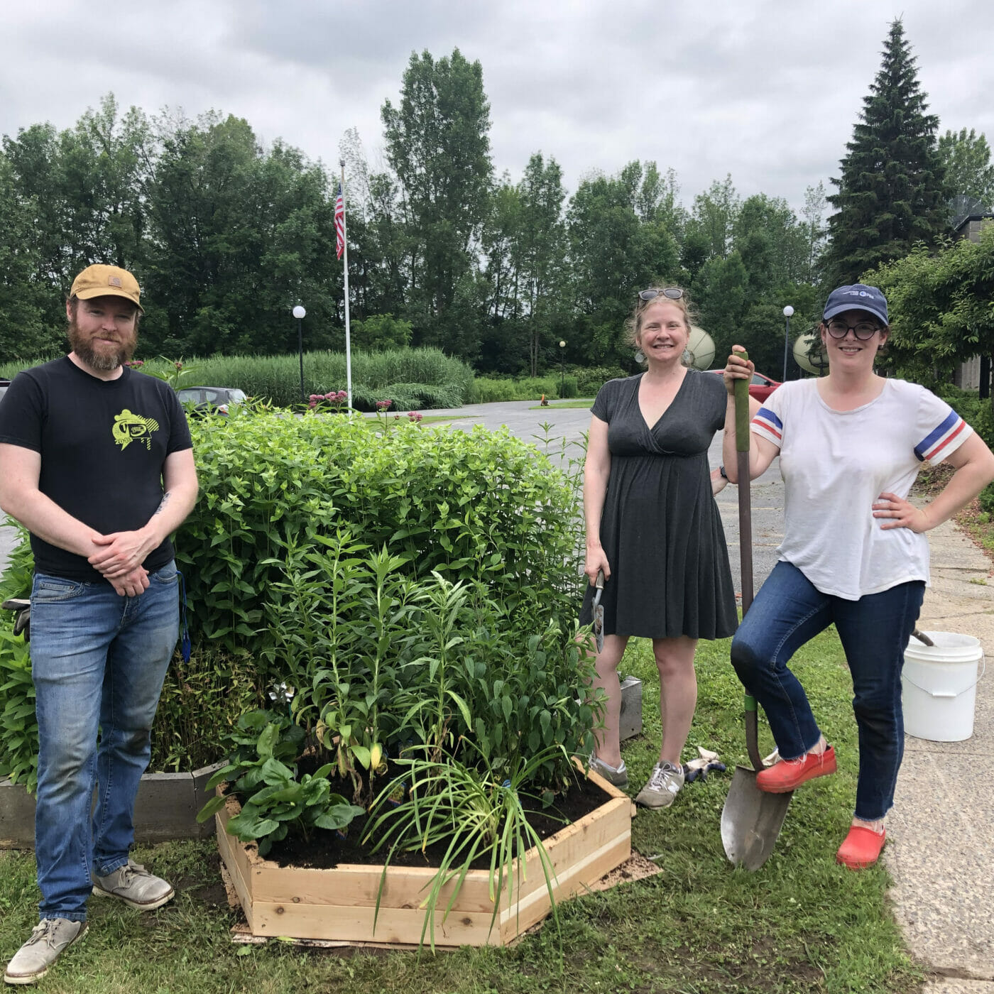 Pollination Station: Midsummer Update 2023 – Mountain Lake PBS