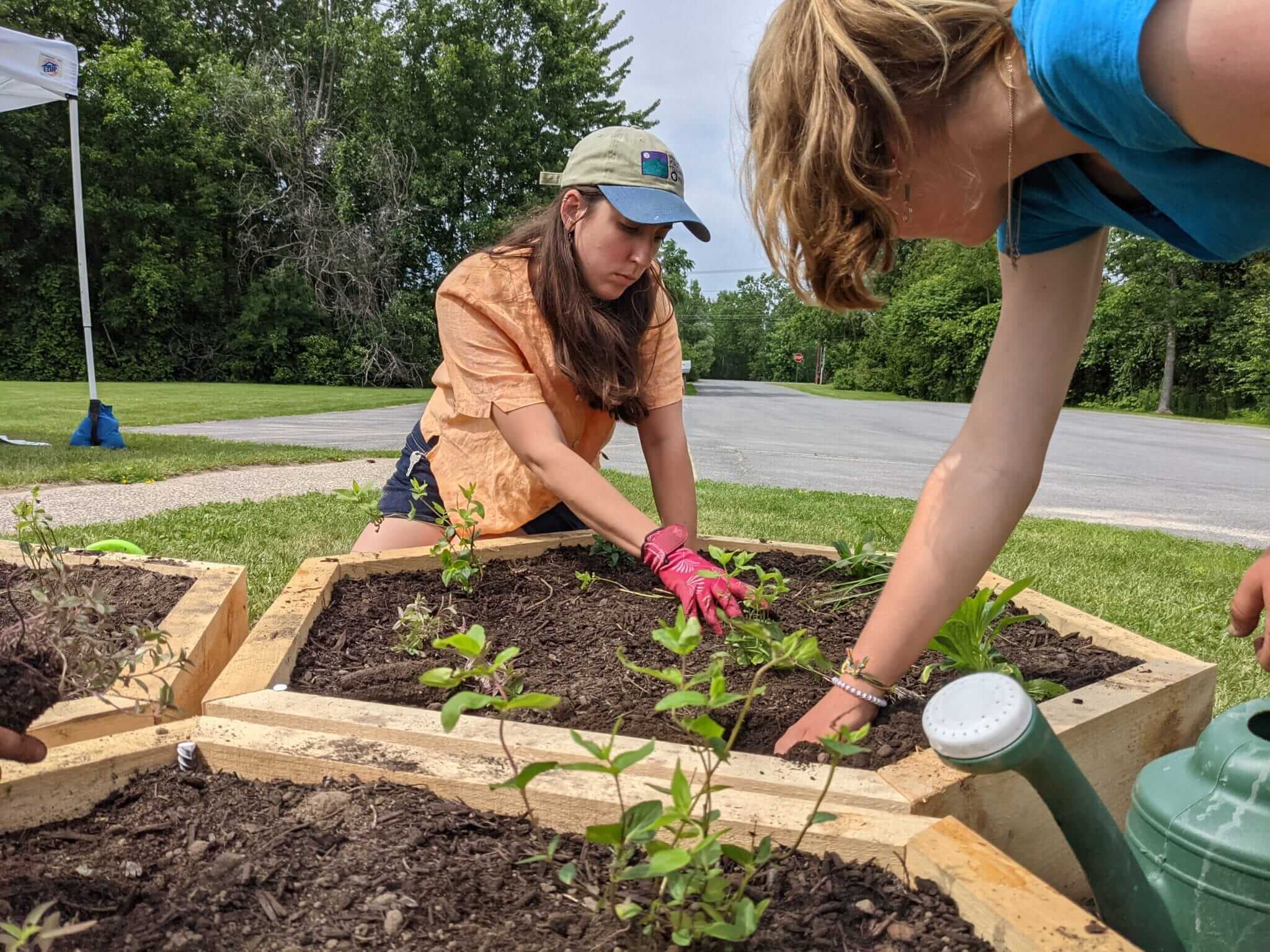 The MLPBS Pollination Station Is Back and Buzzing! – Mountain Lake PBS