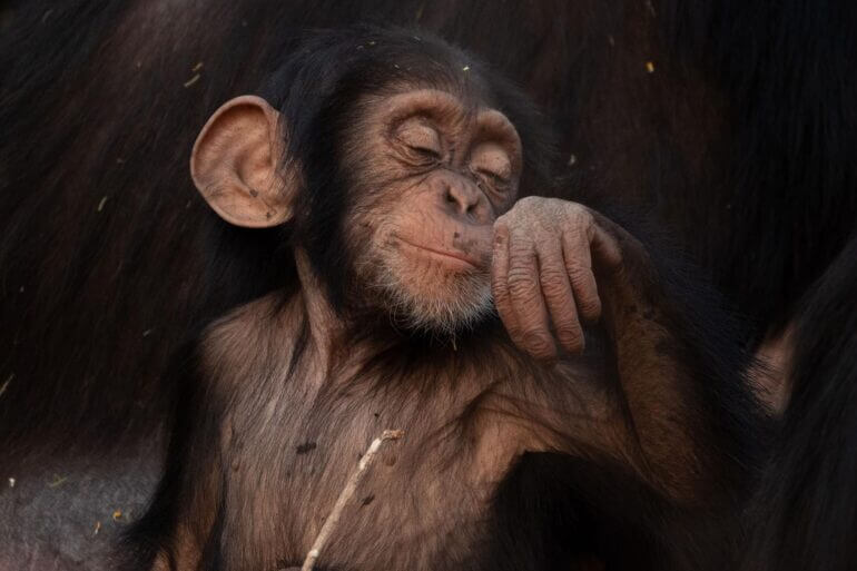 Evolution Earth | Earth – Mountain Lake PBS