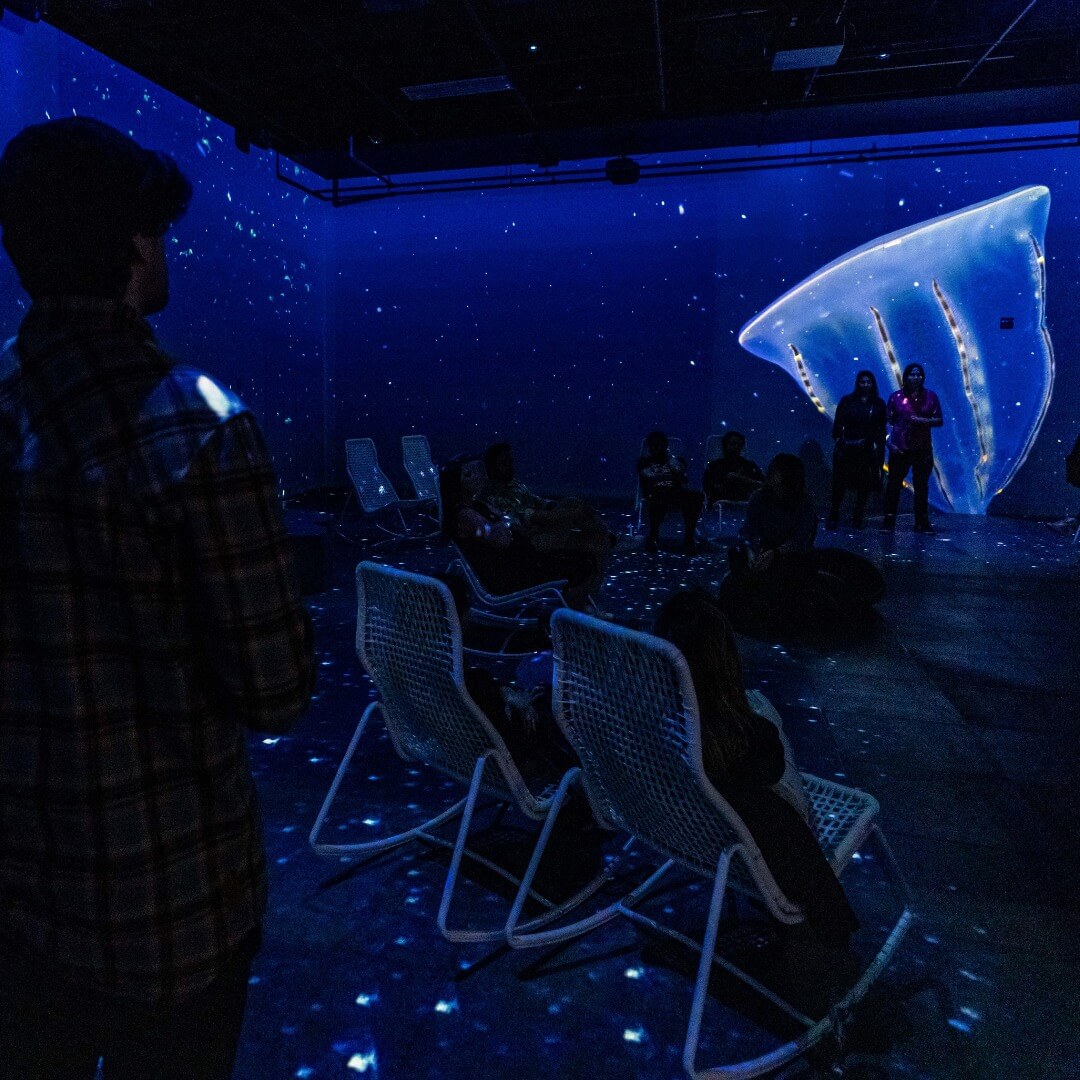 OASIS Immersion Unveils ‘Root for Nature’: A Sensory Extravaganza to ...