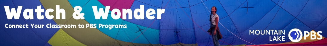 NATURE: Penguins: Meet the Family | Watch & Wonder Program Highlight ...