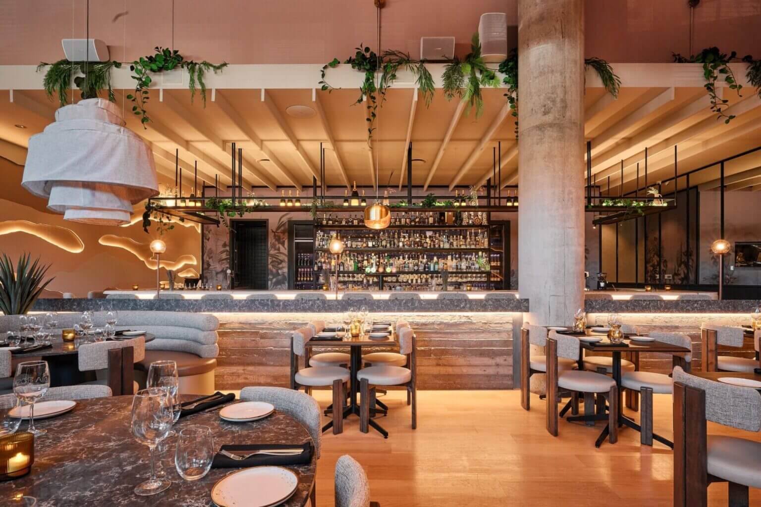 Spice, Style & Signature Cocktails: India Rosa Opens Its Doors at ...