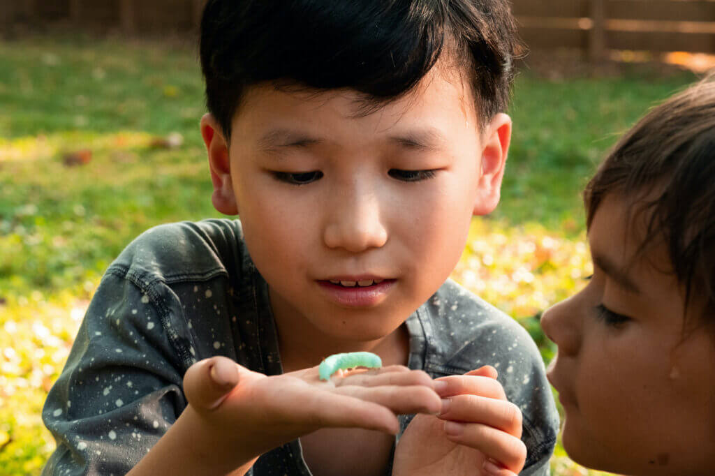 Creeping, Crawling, Fluttering… Bugs Are Everywhere! – Mountain Lake PBS